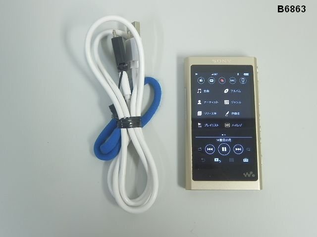 Yahoo!オークション - B6863S SONY WALKMAN ウォークマン NW-A57 64GB ...