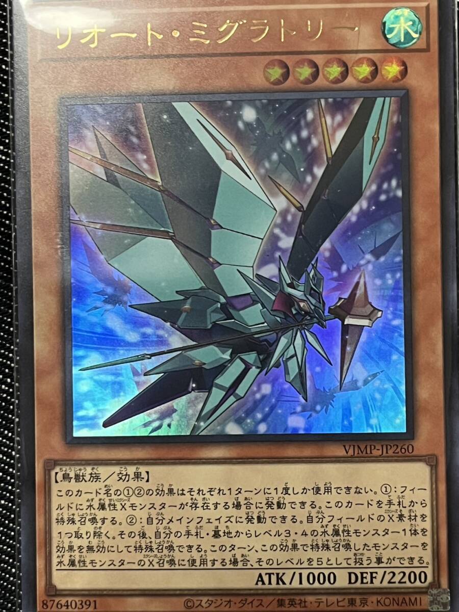 Yahoo!オークション - VJMP-JP260 リオート・ミグラトリー