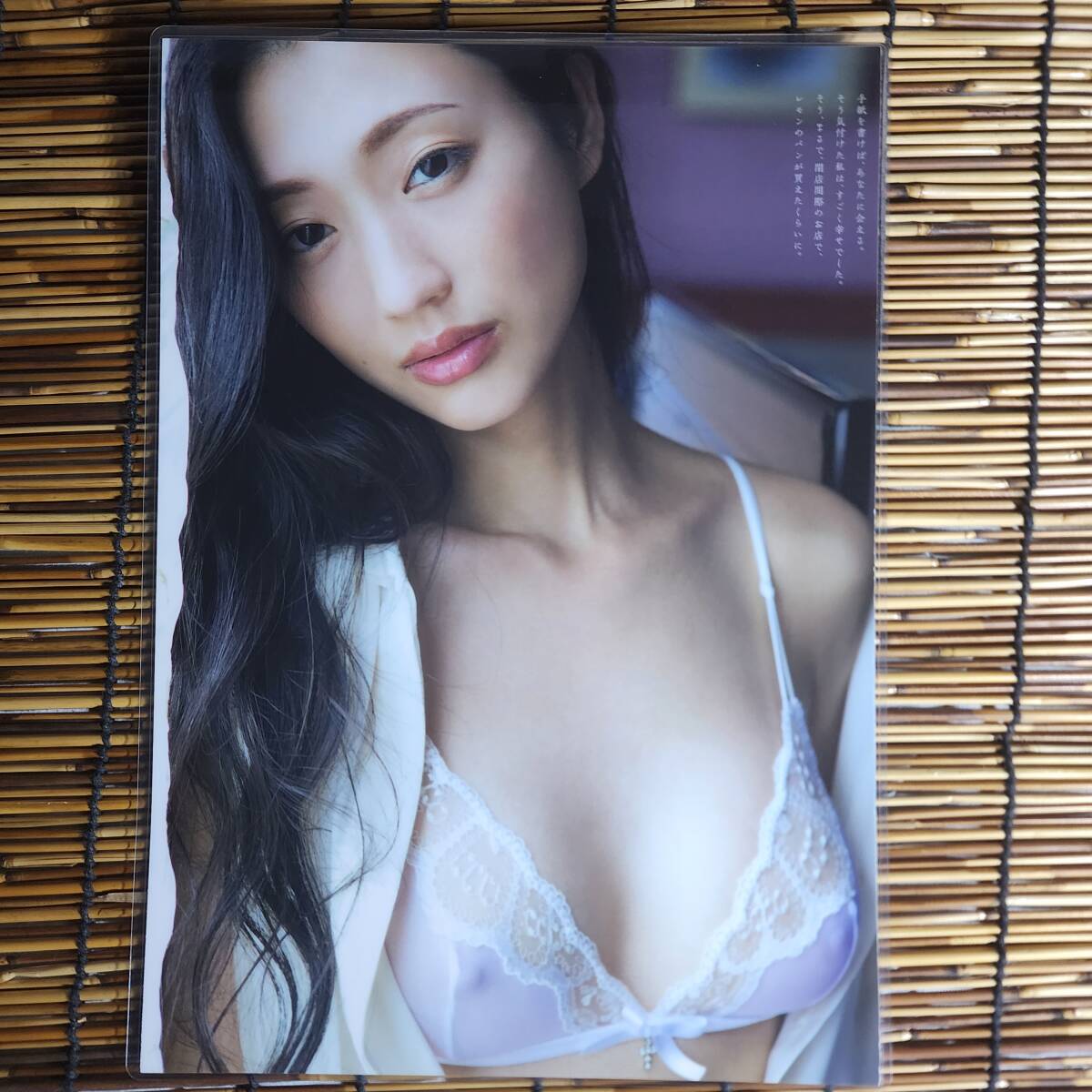 Yahoo!オークション - 【高品質厚手150μラミネート加工】壇蜜 水着...