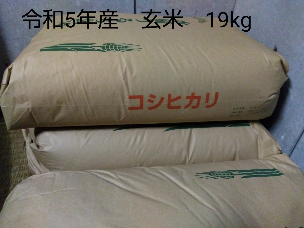 Yahoo!オークション - 令和5年産 玄米 19kg コシヒカリ 三重