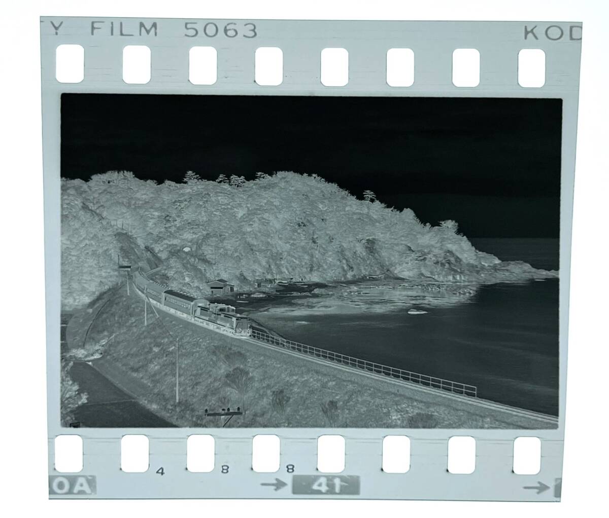 Yahoo!オークション - 35ミ白黒ネガ10枚 DF50・DD51