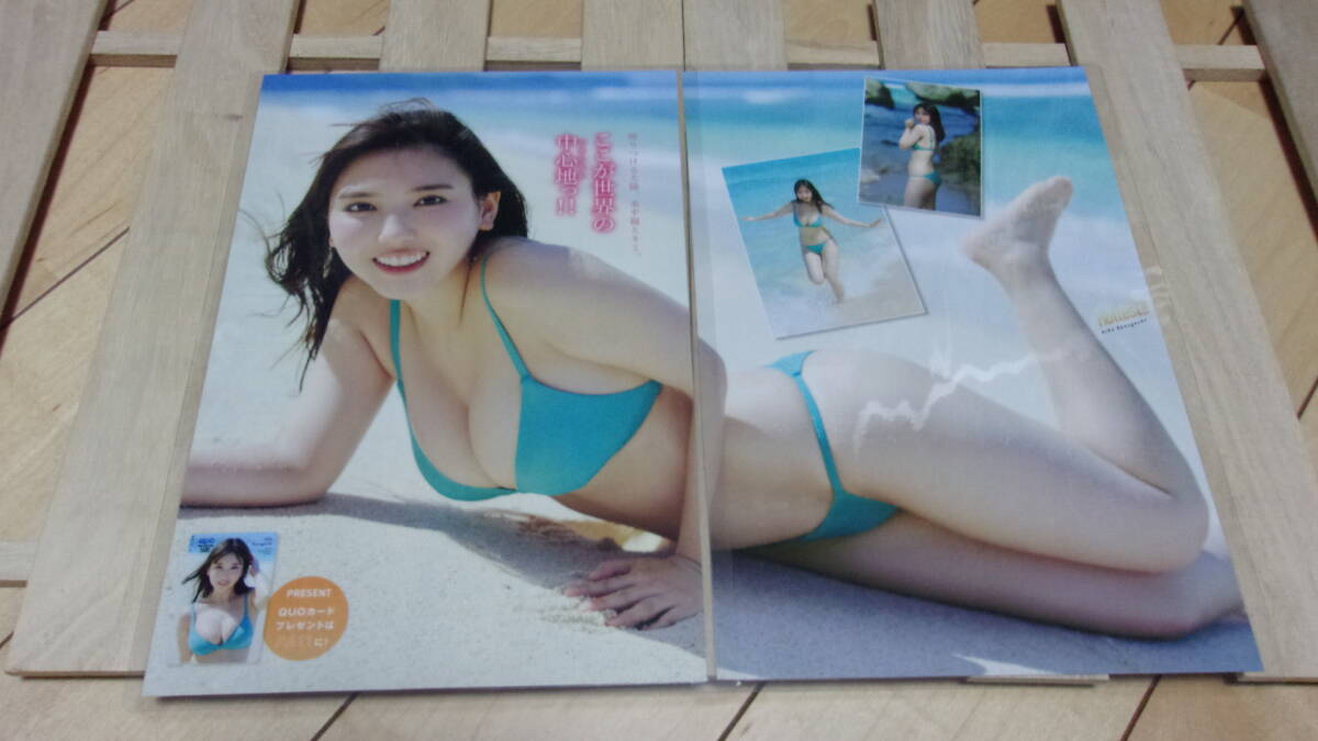 Yahoo!オークション - 沢口愛華 巨乳アイドル 雑誌切抜B5ラミネート8P ...