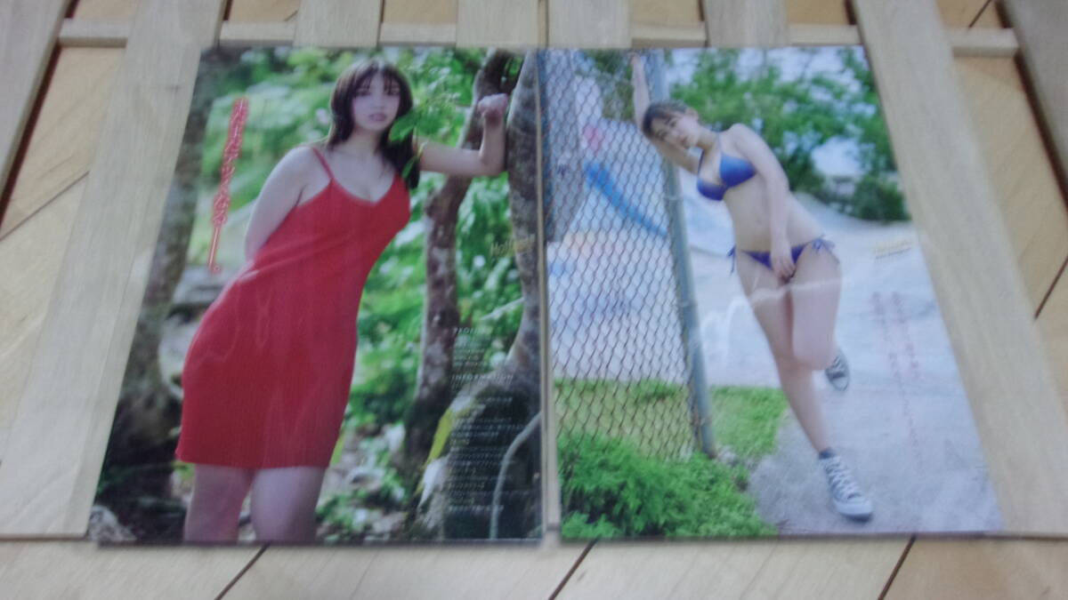 Yahoo!オークション - 沢口愛華 巨乳アイドル 雑誌切抜B5ラミネート8P ...