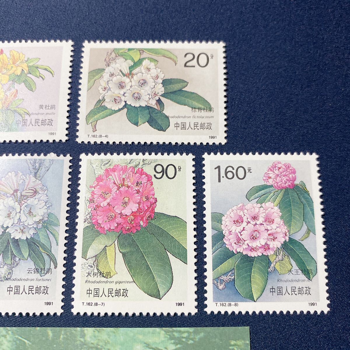 Yahoo!オークション - 中国切手 T162 杜鵑花 全種類・小型シート NHセ...