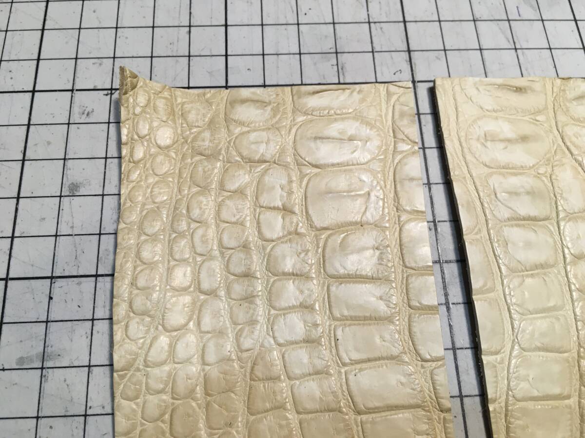 Yahoo!オークション - CR4-246 ワニの質感をダイレクトに感じられるオ...