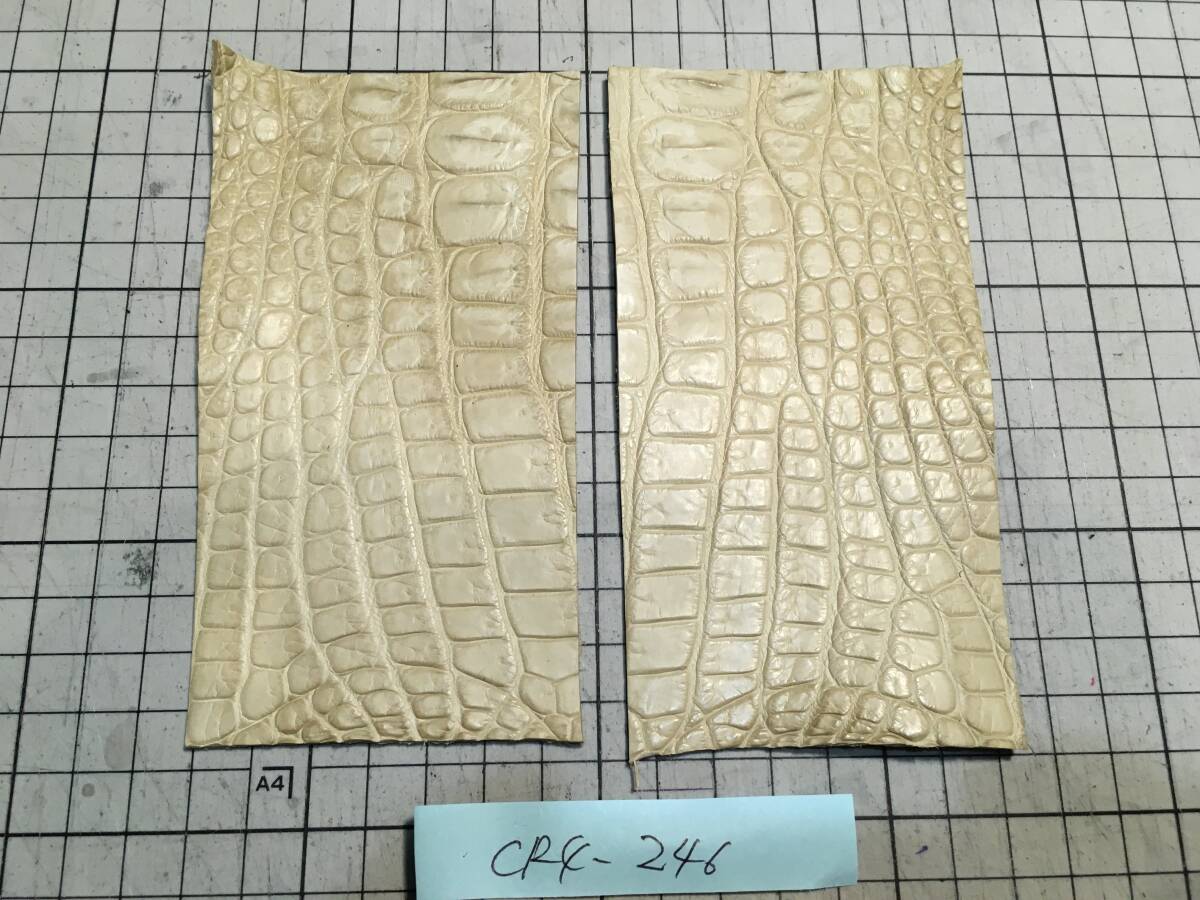 Yahoo!オークション - CR4-246 ワニの質感をダイレクトに感じられるオ...