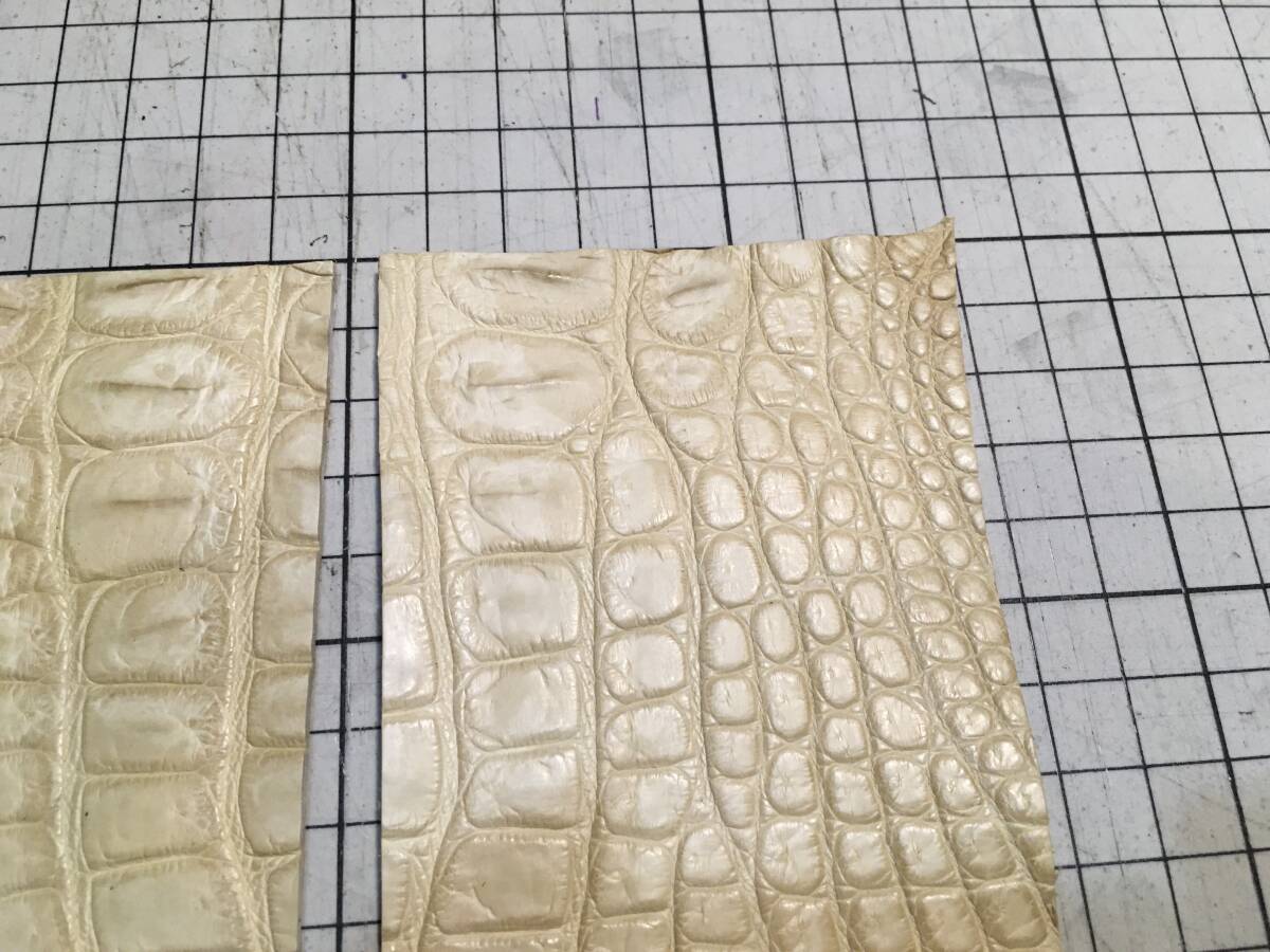 Yahoo!オークション - CR4-246 ワニの質感をダイレクトに感じられるオ...