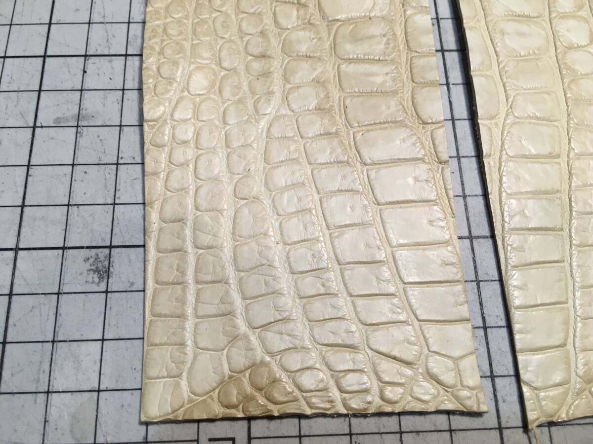 Yahoo!オークション - CR4-246 ワニの質感をダイレクトに感じられるオ...