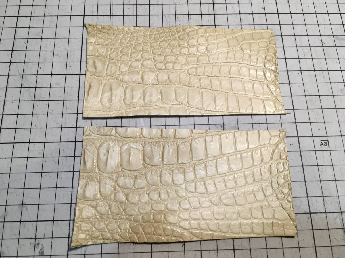 Yahoo!オークション - CR4-246 ワニの質感をダイレクトに感じられるオ...