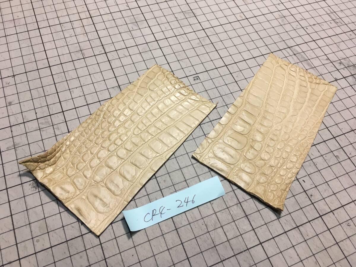 Yahoo!オークション - CR4-246 ワニの質感をダイレクトに感じられるオ...