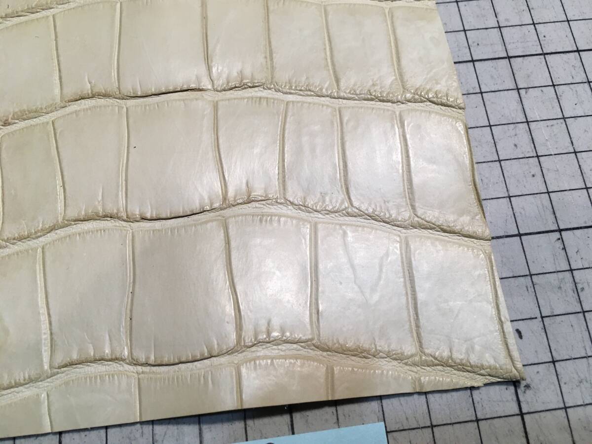 Yahoo!オークション - CR4-249 ワニの質感をダイレクトに感じられるオ...