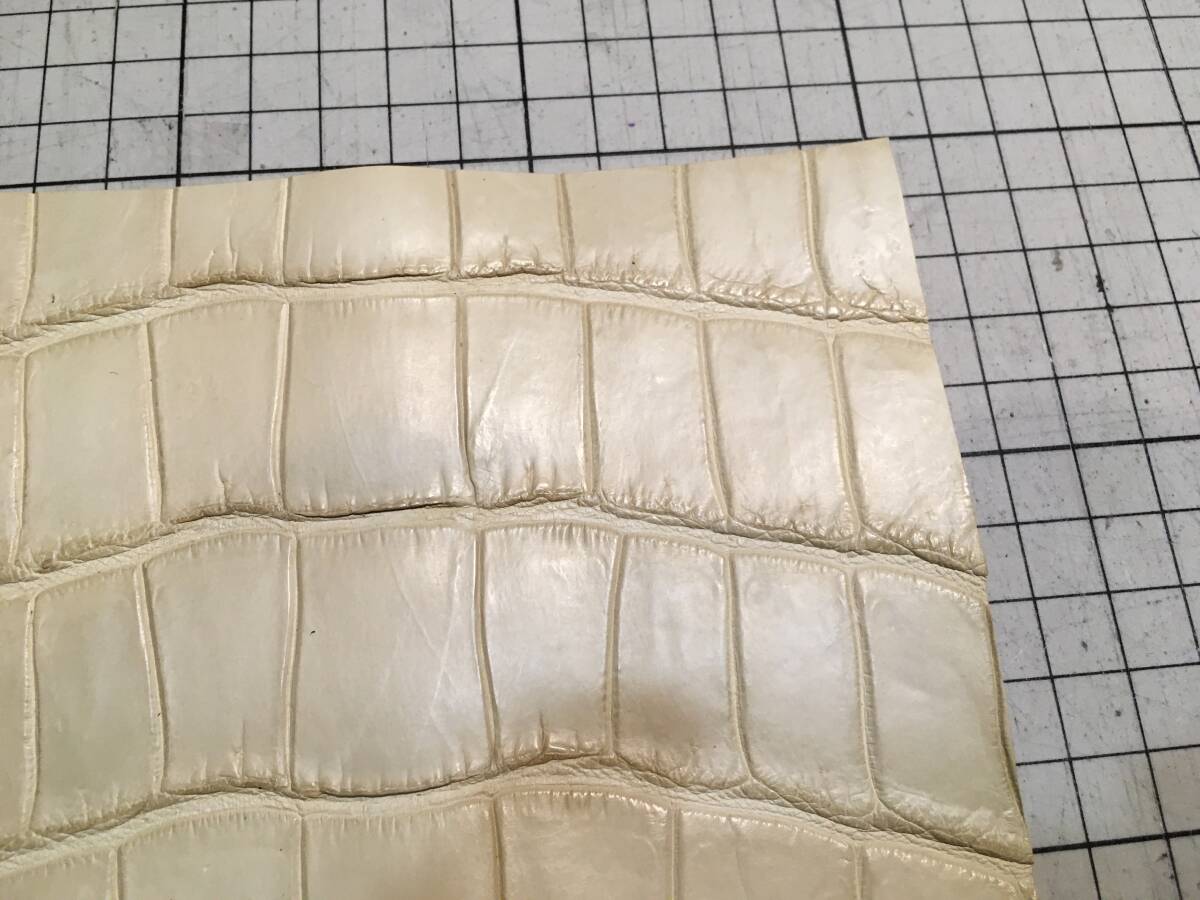 Yahoo!オークション - CR4-249 ワニの質感をダイレクトに感じられるオ...