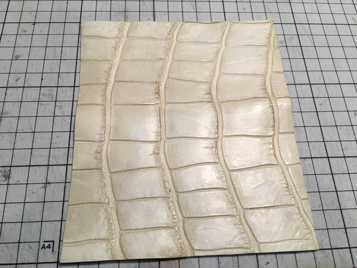 Yahoo!オークション - CR4-249 ワニの質感をダイレクトに感じられるオ...