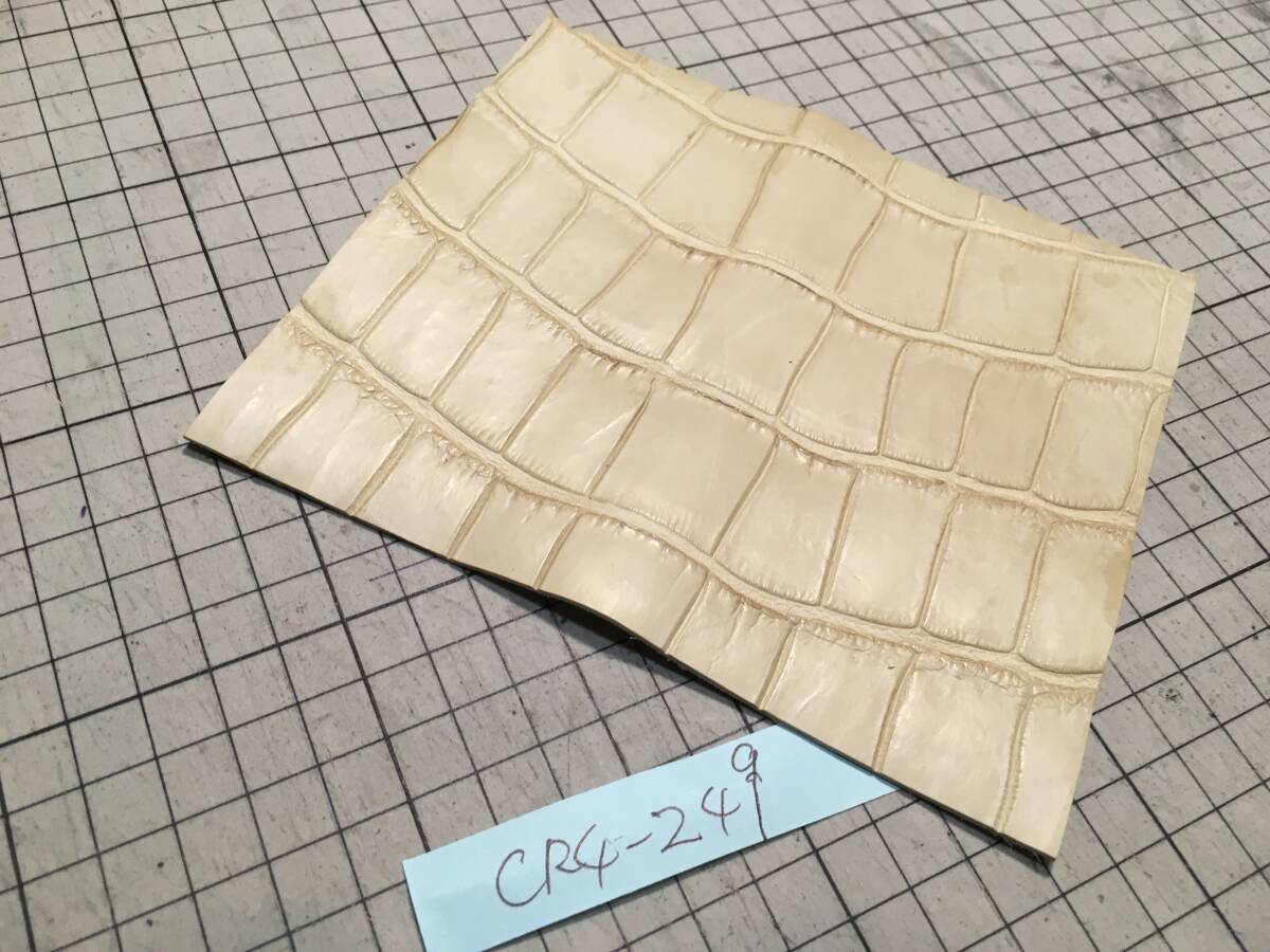 Yahoo!オークション - CR4-249 ワニの質感をダイレクトに感じられるオ...