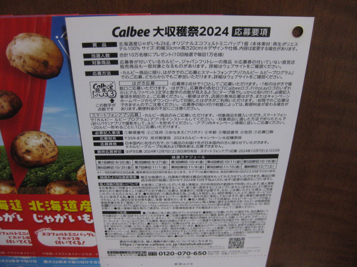 Yahoo!オークション - Calbee カルビー 2024大収穫祭 懸賞応募はがき 7...
