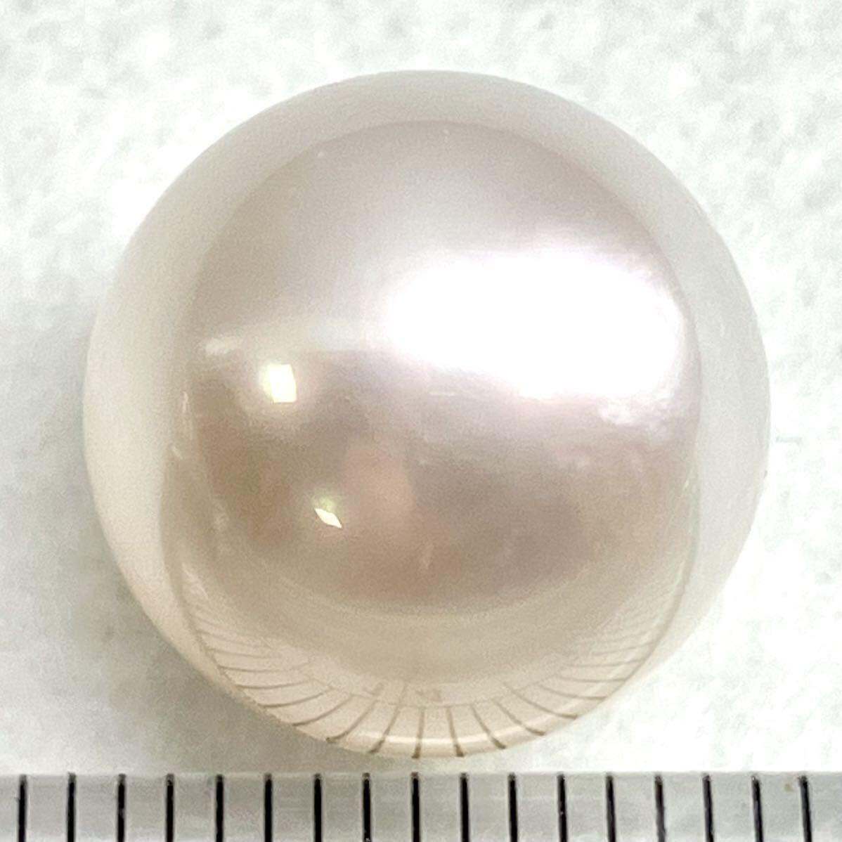 Yahoo!オークション - 南洋白蝶真珠18.26ct s 約13.9×13.9mm ルース ...