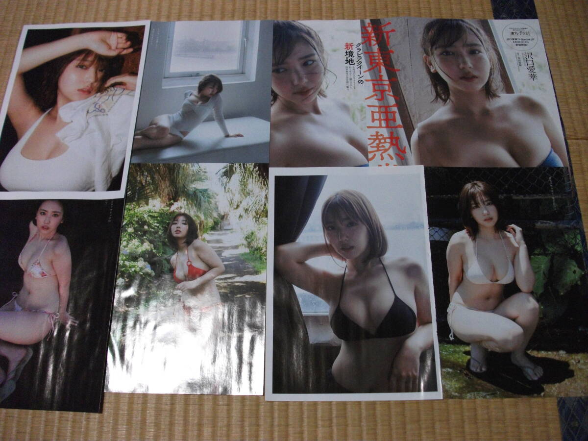 Yahoo!オークション - 沢口愛華 SS101