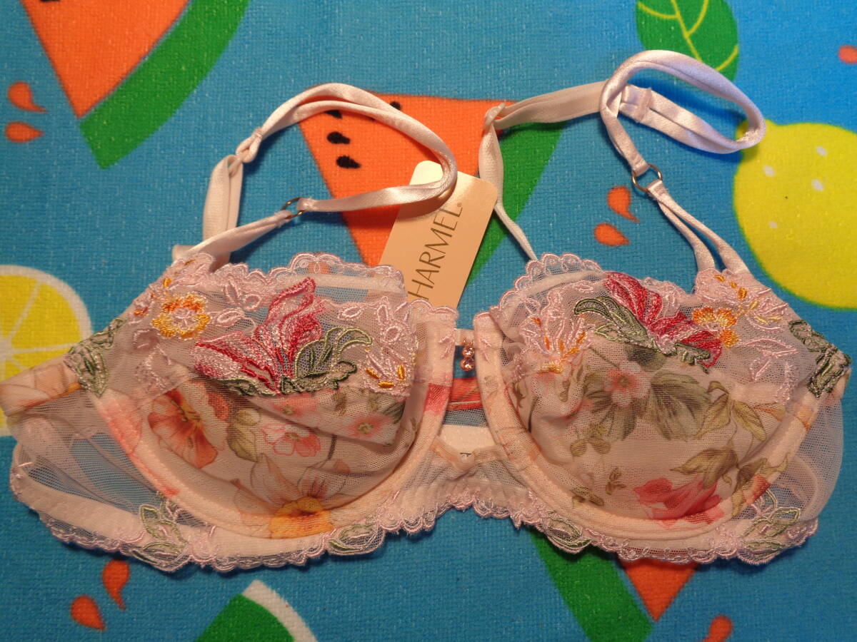 Lise Charmel リズシャルメル② 85C ブラジャー ピンク(80以上)｜売買されたオークション情報、yahooの商品情報をアーカイブ公開 - オークファン（aucfan.com）