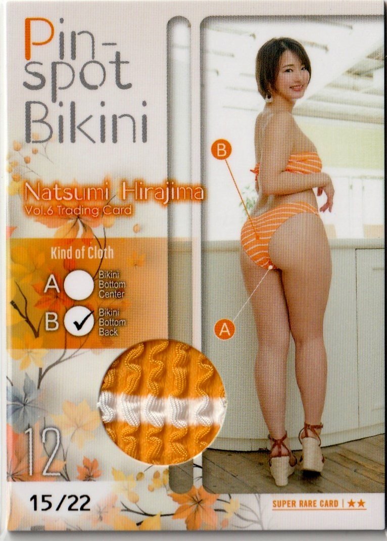Yahoo!オークション - 【平嶋夏海Vol.6】15/22 ピンスポビキニカード12...