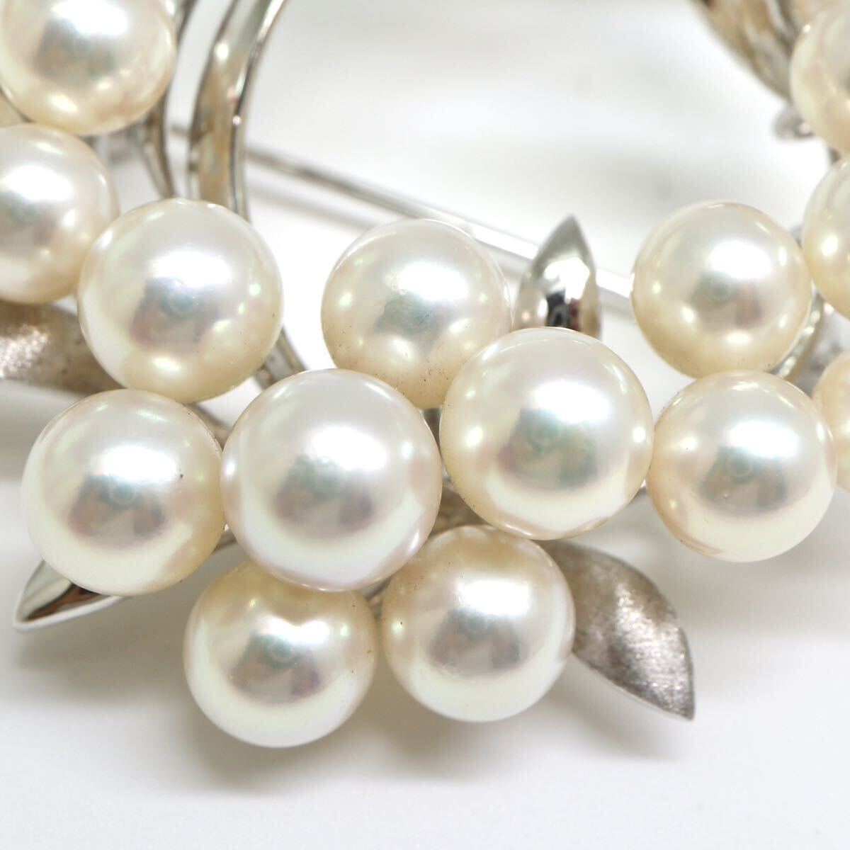 Yahoo!オークション - TASAKI(田崎真珠)良質 K14 アコヤ本真珠ブローチ...