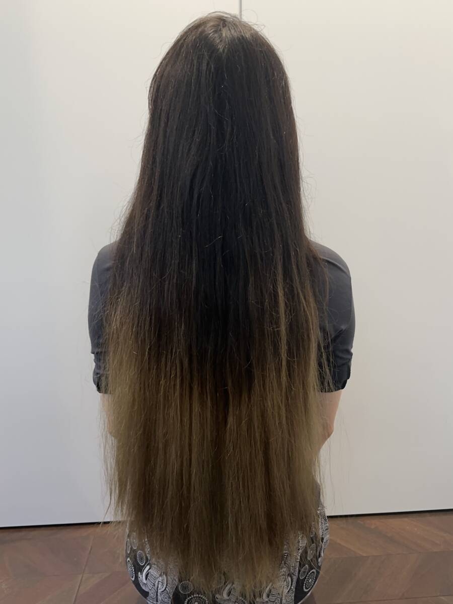 Yahoo!オークション - 髪束 約40cm 73g