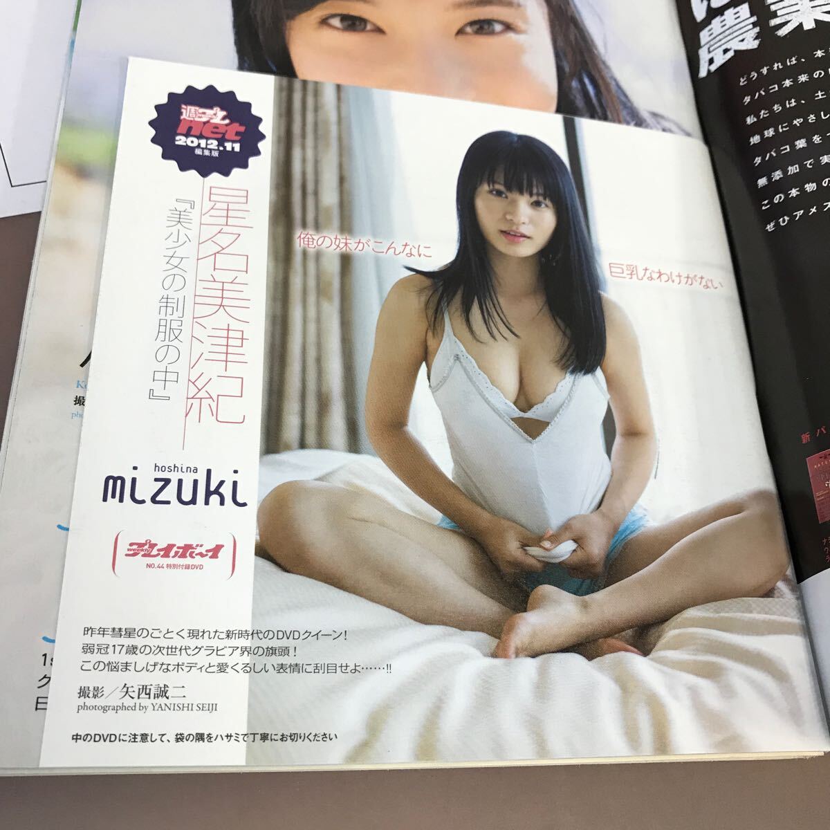 Yahoo!オークション - G05-047 プレイボーイ No.44 2013年11月4日号 小...