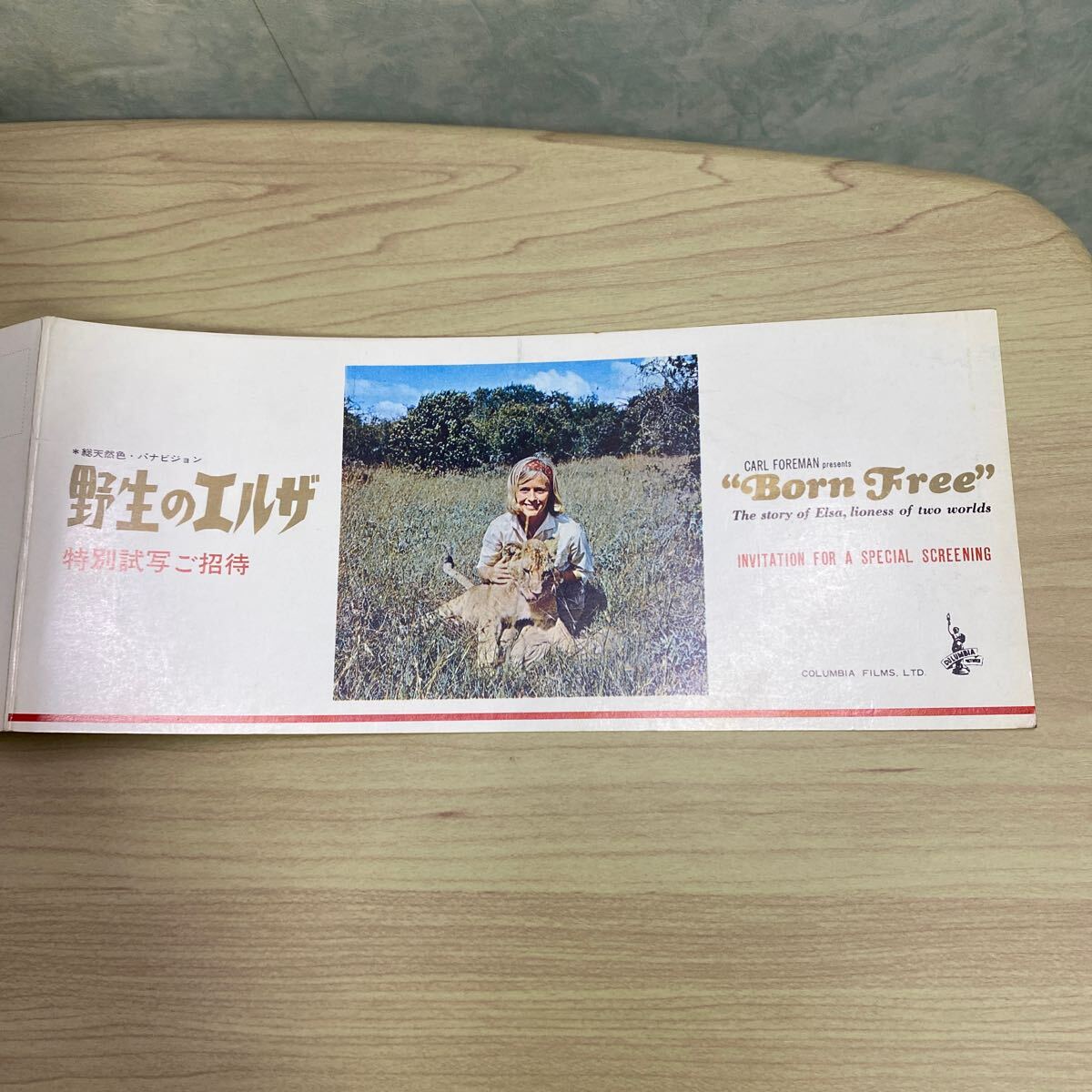 Yahoo!オークション - DA6 送料無料 貴重 野生のエルザ ヴァージニア・...