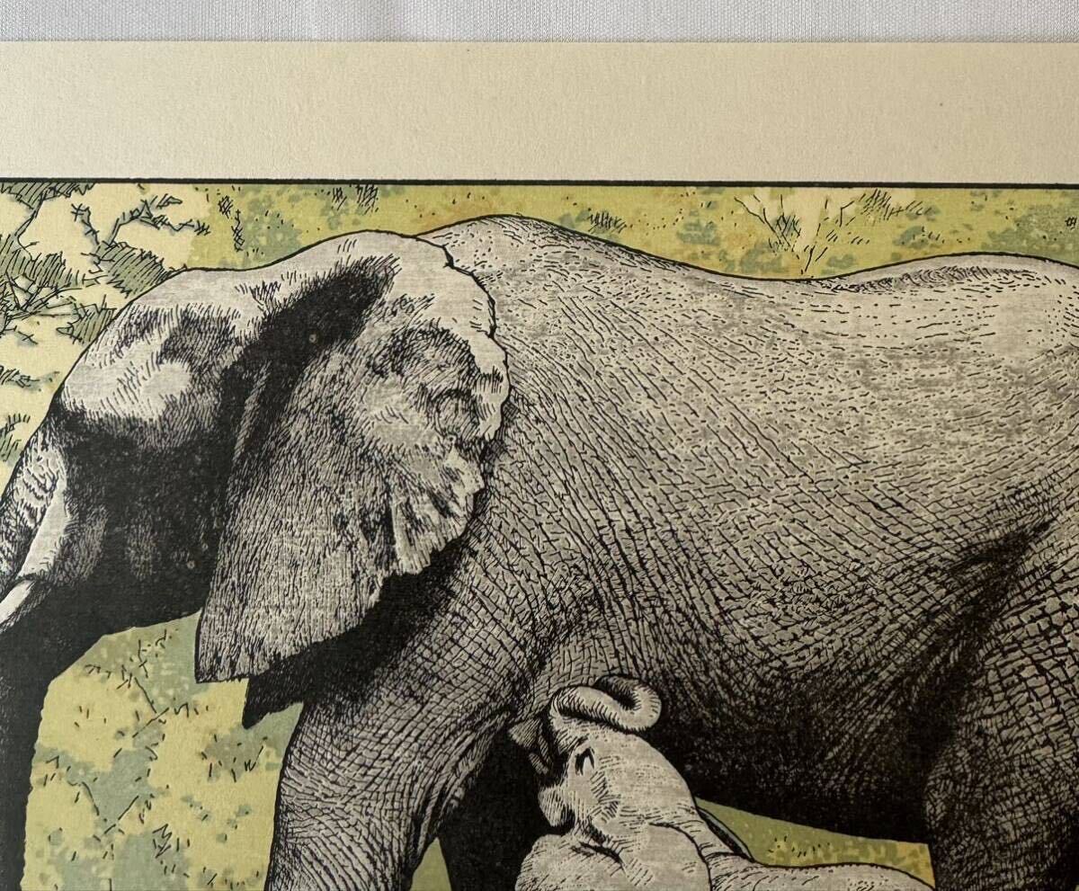 Yahoo!オークション - C【真作保証】吉田遠志 Elephants 手摺り木版画 ...