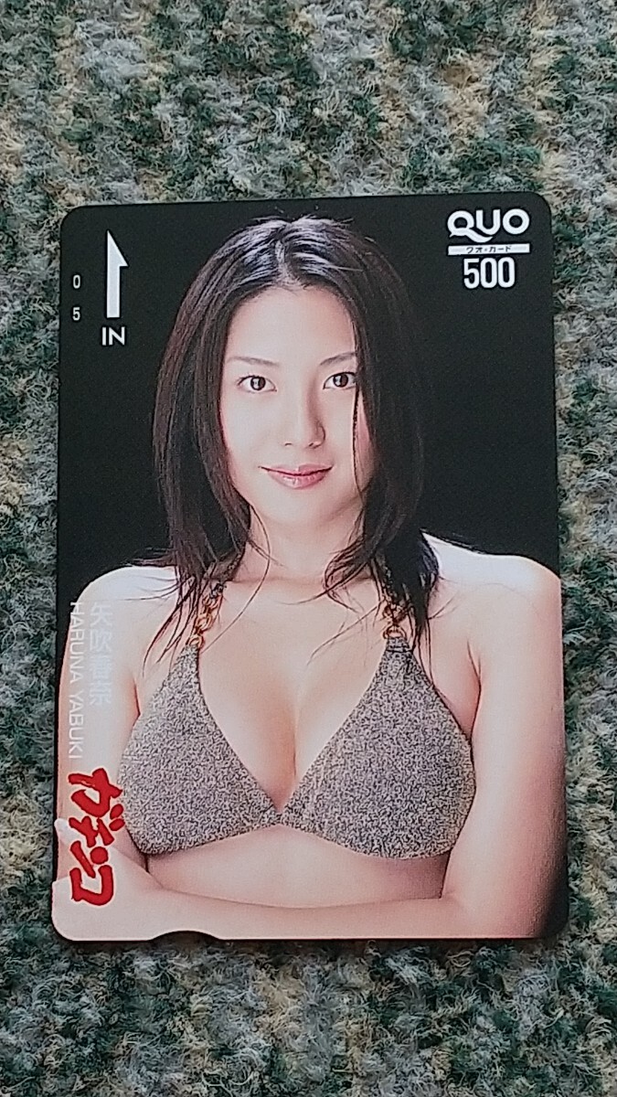 矢吹春奈 HARUNA YABUKI ガチンコ QUOカード クオカード 500(クオカード)｜売買されたオークション情報、yahooの商品情報をアーカイブ公開 - オークファン（aucfan ...