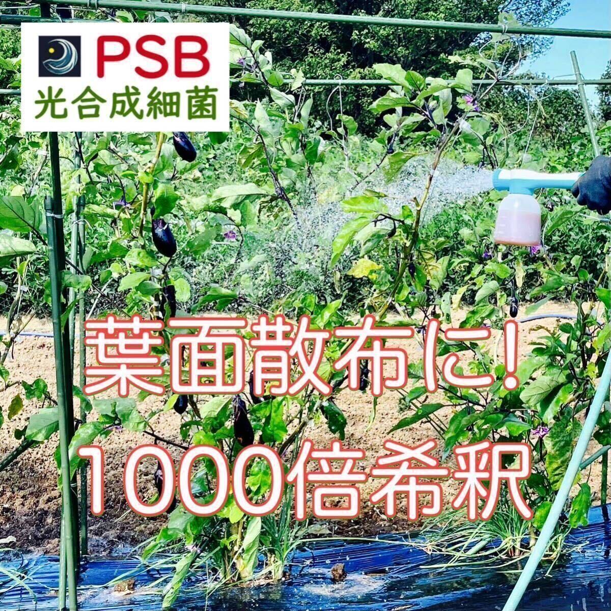 Yahoo!オークション - 《PSB》光合成細菌 2.5L（500mL x 5袋）餌