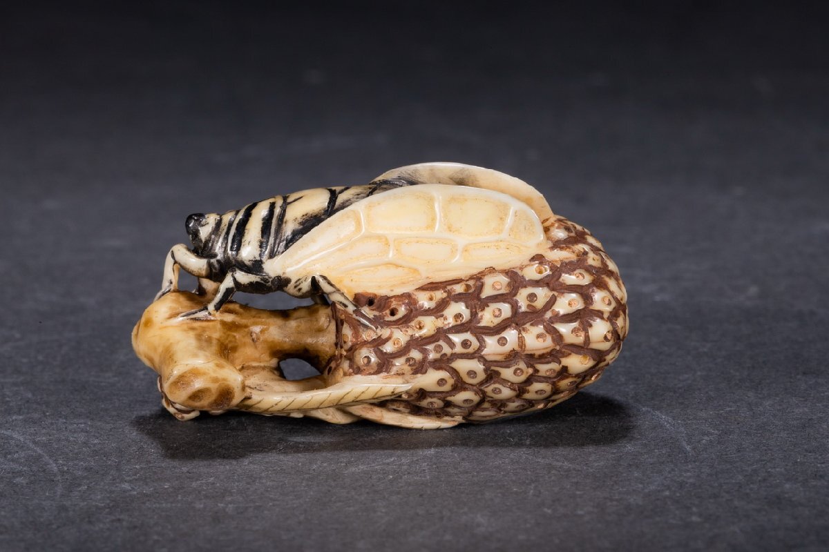 善古堂 某有名オークション買入 時代物 特種白材 蝉文根付 在銘 提げ物 豪華芯料使用 骨董品 古美術0818-39S1(東洋彫刻)｜売買されたオークション情報、yahooの商品情報を ...