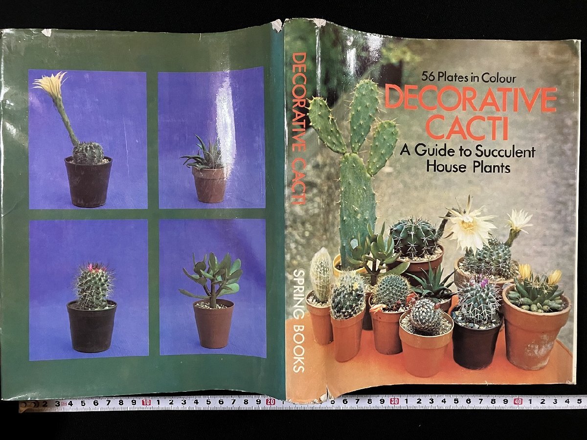 Yahoo!オークション - g 洋書 DECORATIVE CACTI サボテン 多肉植物 19...