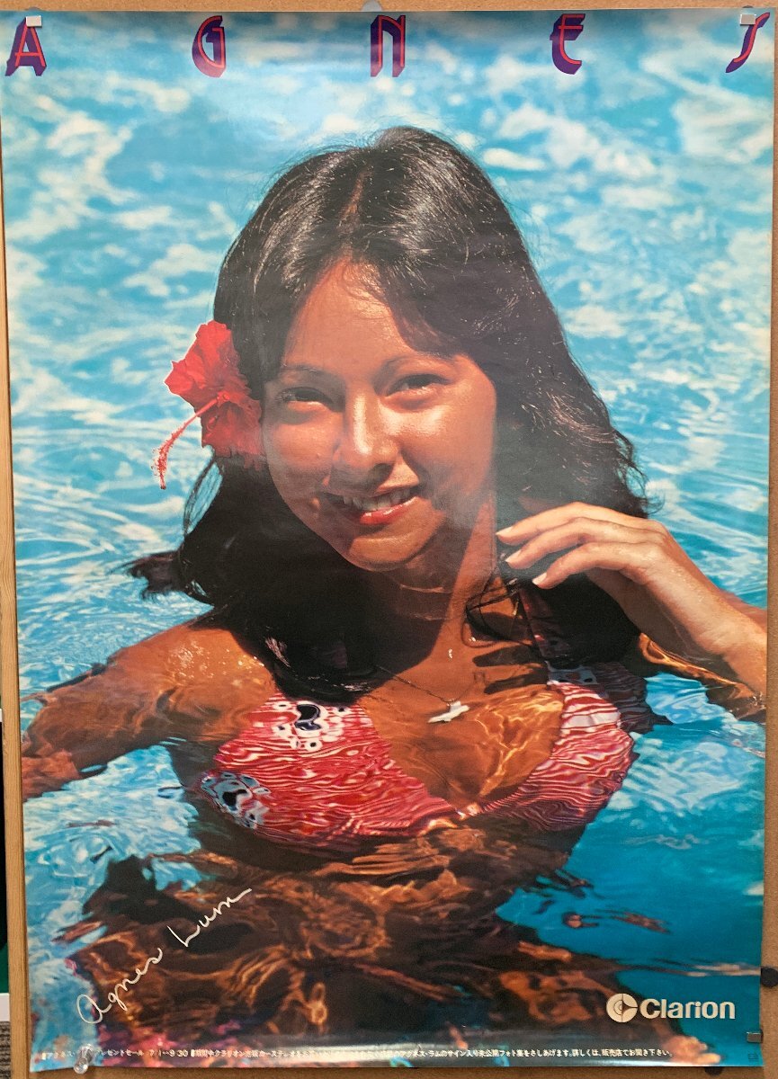 B1ポスター アグネス ラム Agnes Lum クラリオン Clarion 水着 ＜103×72.5cm＞(あ行)｜売買されたオークション情報、yahooの商品情報をアーカイブ公開 ...