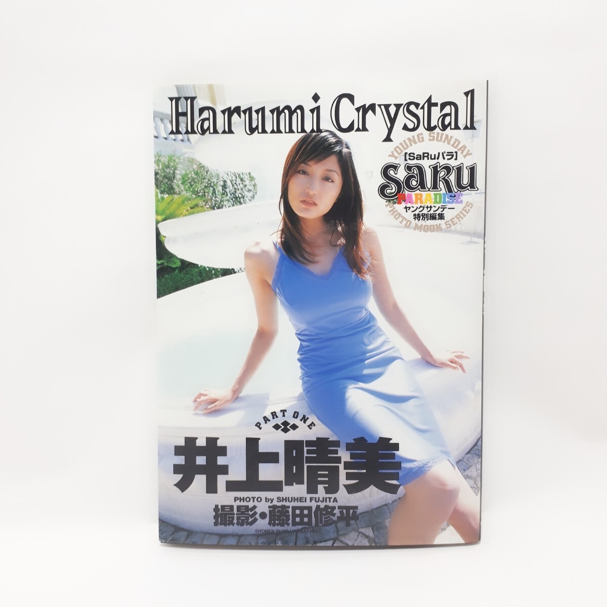 Yahoo!オークション - 井上晴美 写真集 ヤングサンデー特別編集 Saruパ...