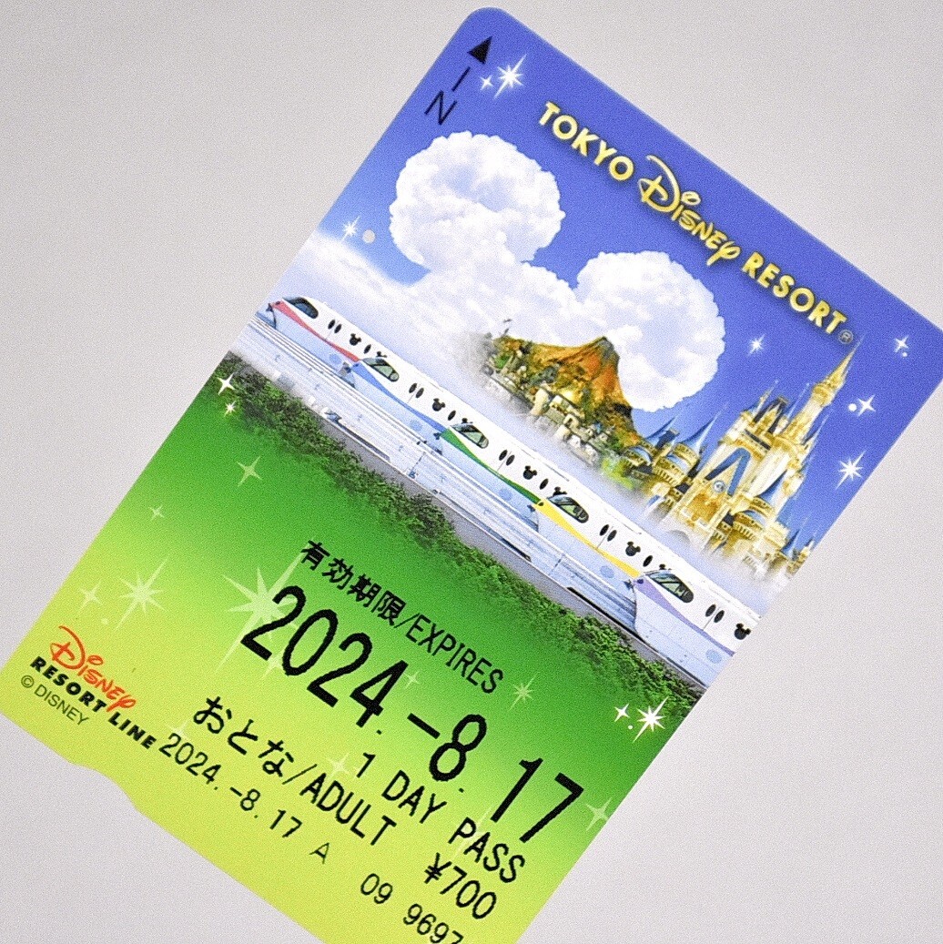 Yahoo!オークション - リゾートライン リゾートライナー Type X 使用済...