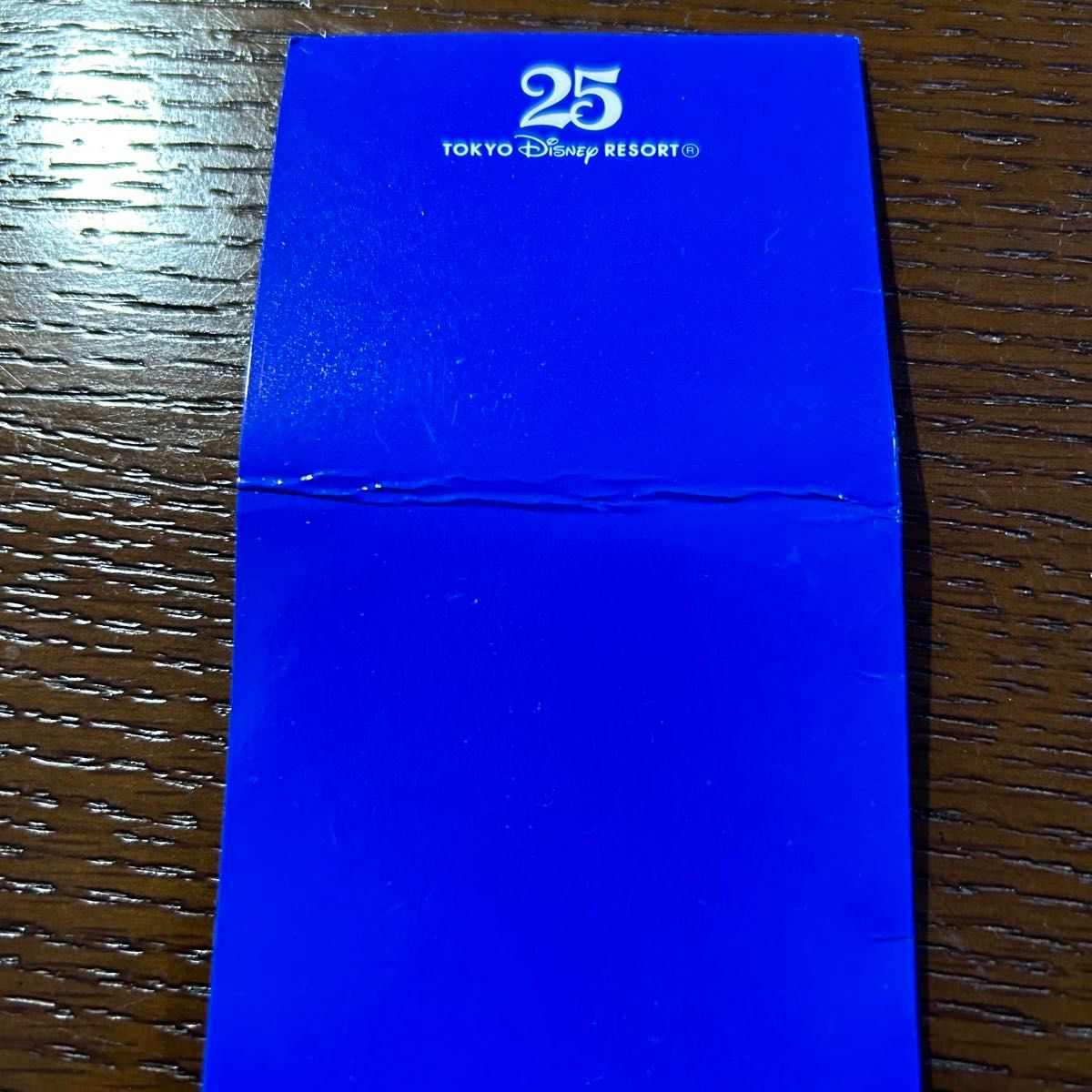 東京ディズニーランド 25周年 ドリームキー 鍵 キーホルダー 東京ディズニーランド 25周年 ドリームキー 鍵 キーホルダー