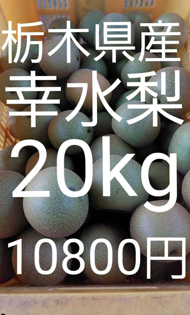 梨 幸水梨 栃木県産 20kg｜Yahoo!フリマ（旧PayPayフリマ）