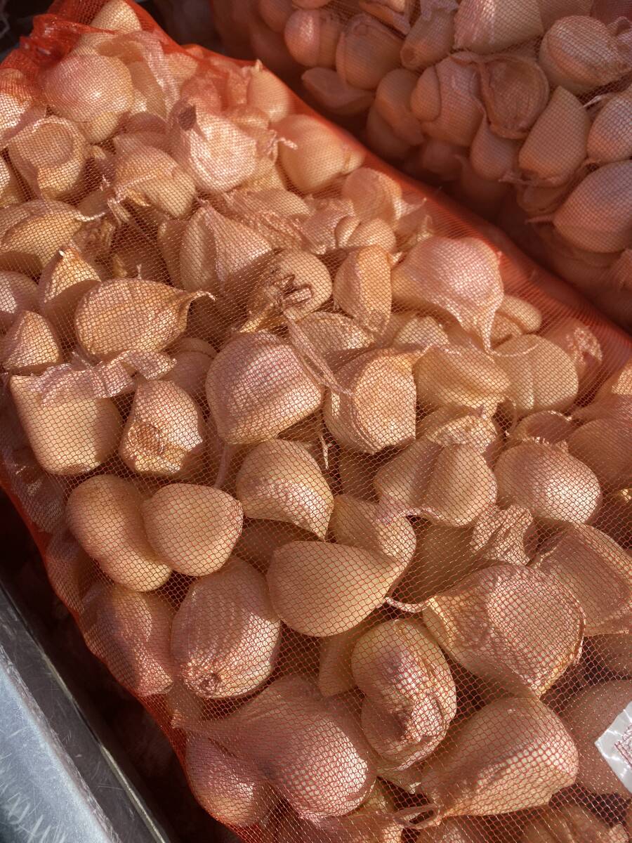 Yahoo!オークション - 令和6年青森県 バラにんにく10Kg L .2L 剥けあり...