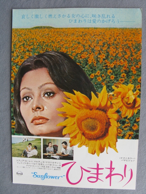 Yahoo!オークション - ビットリオ・デ・シーカ監督/映画チラシ「ひまわ...