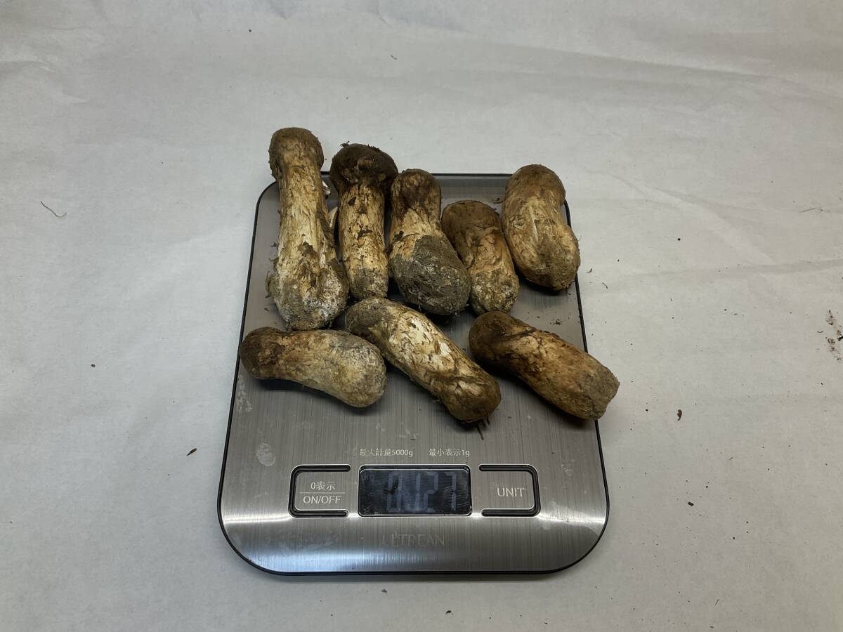 Yahoo!オークション - 国産松茸 145g