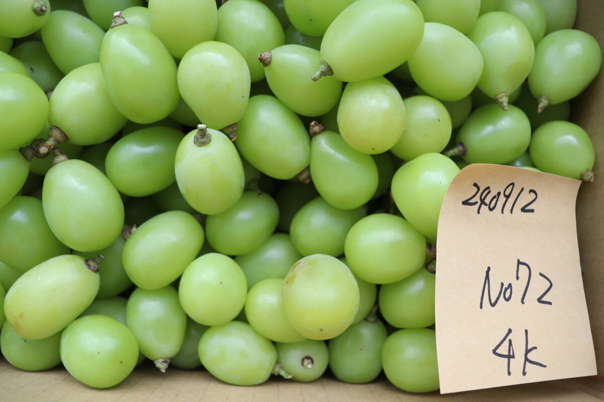 Yahoo!オークション - 新鮮 訳ありシャインマスカットNo72 約4Kg