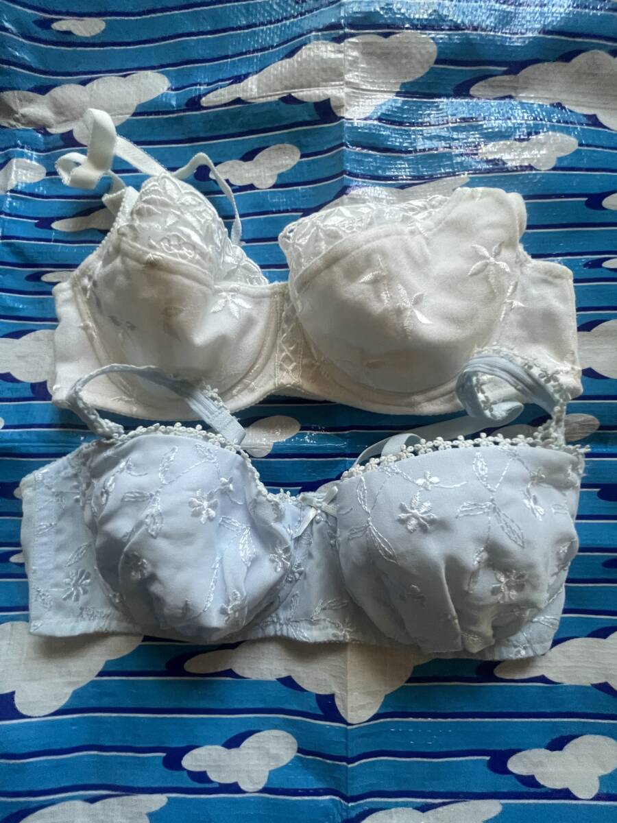 Yahoo!オークション - ブラジャー C75