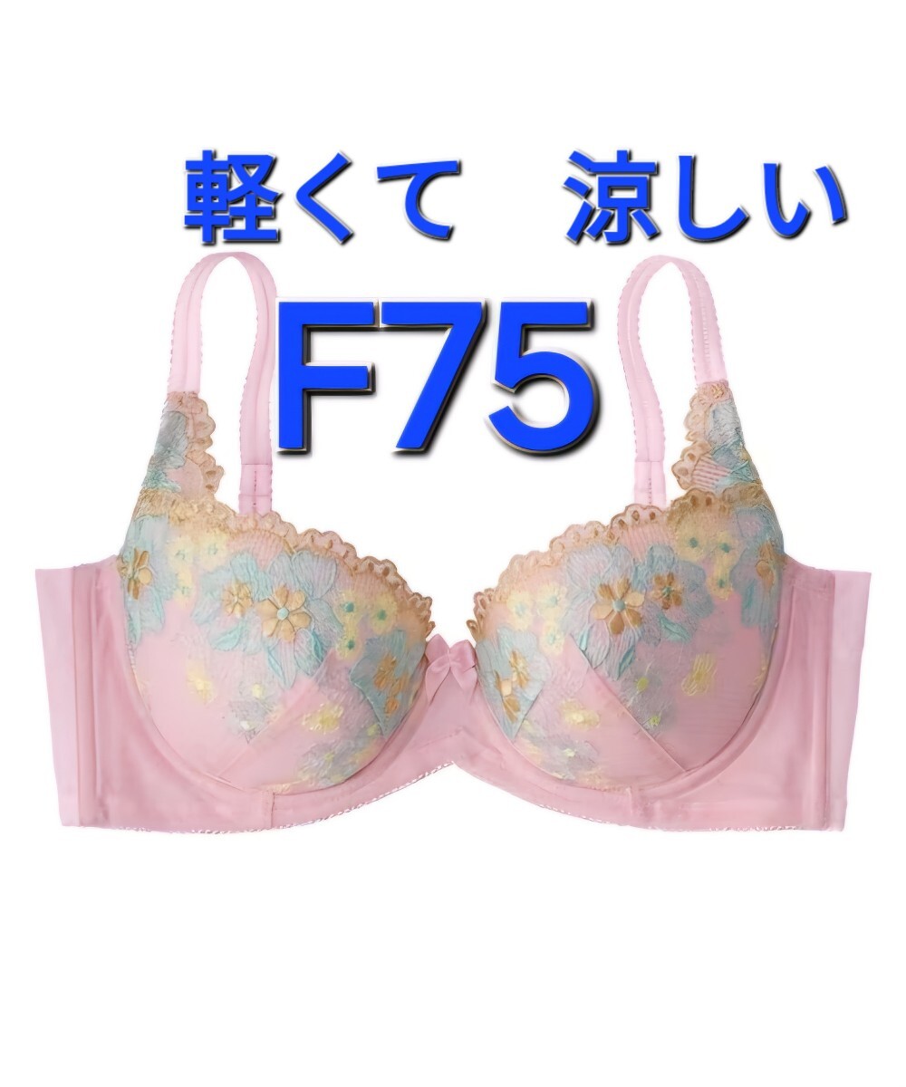 Yahoo!オークション - 200円スタート 22-10 新品 F75 ブラジャー 軽く...