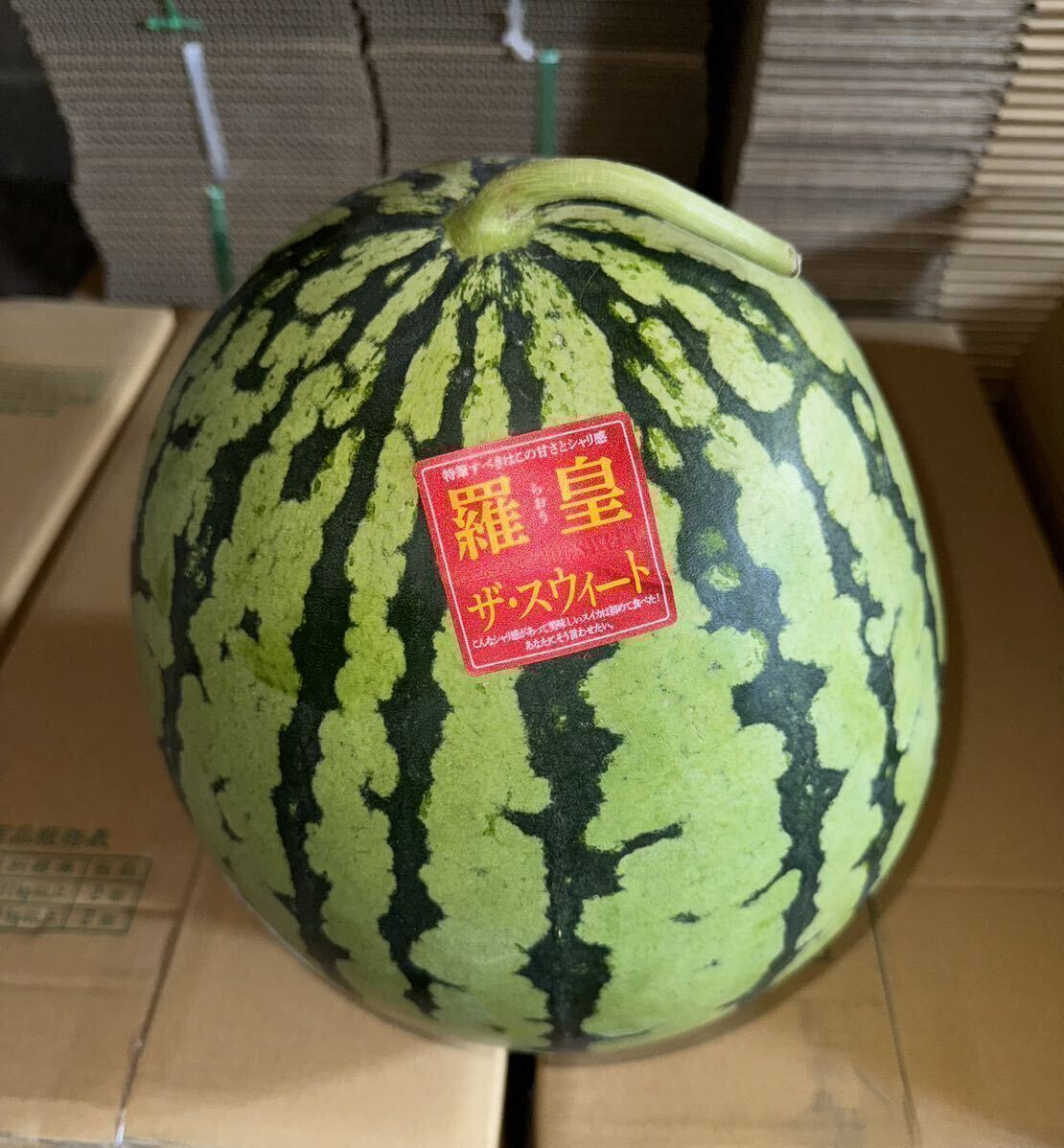 Yahoo!オークション - 熊本産【羅皇】秀品3Lサイズ（1玉8〜9kg）熊本フ...