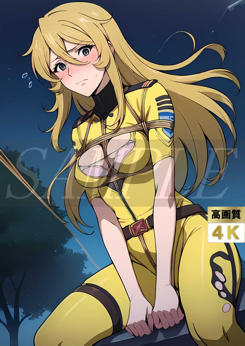 Yahoo!オークション - 宇宙戦艦ヤマト2199 森雪 アニメ 同人 A4 写真 ...