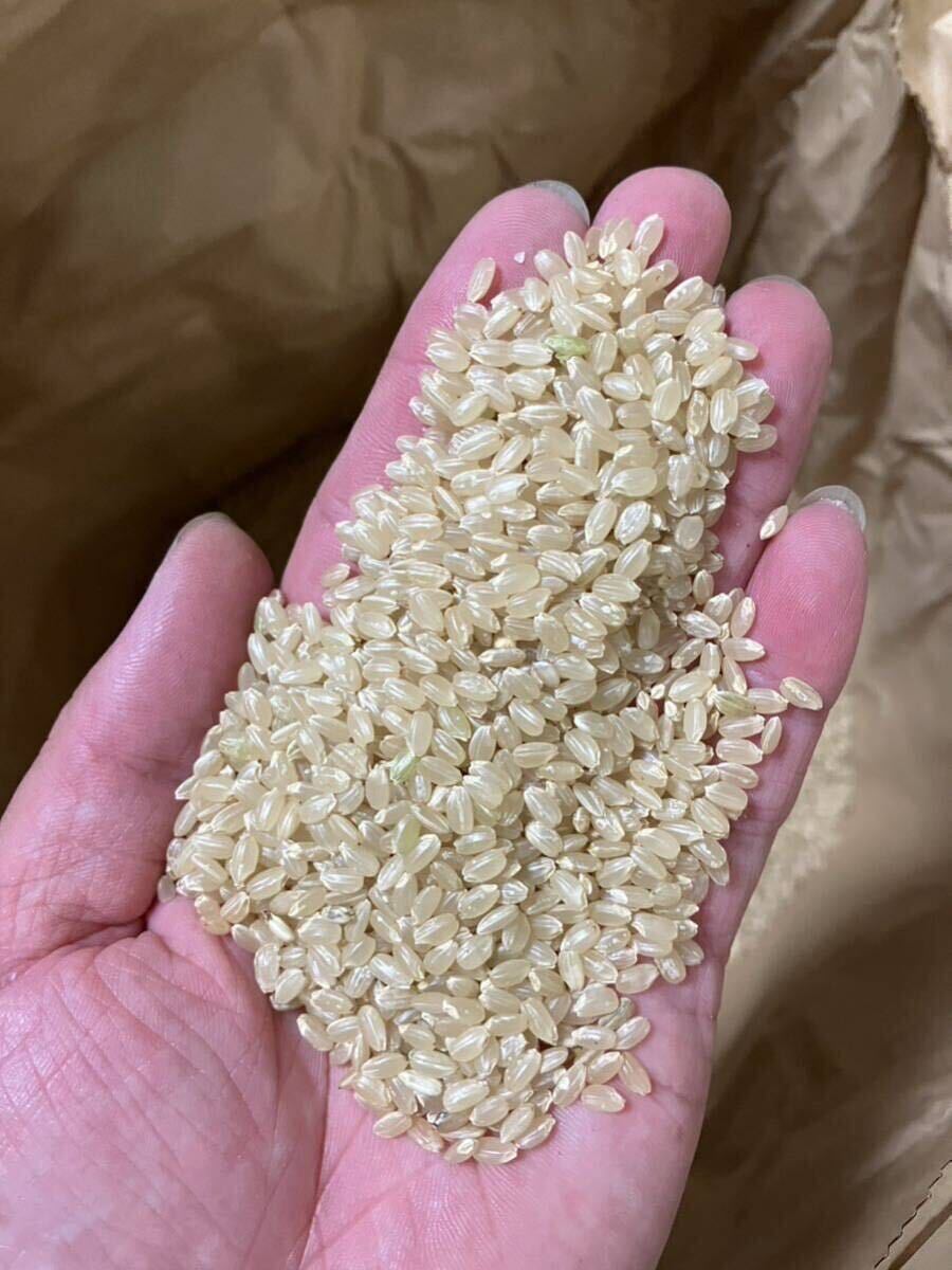 Yahoo!オークション - R5年岡山県産きぬむすめ玄米30kg 農家直送