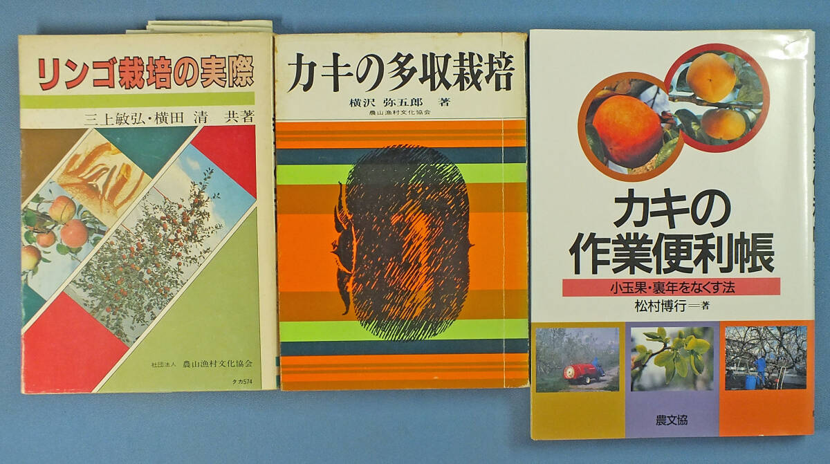 リンゴ カキ栽培の本 農文協3冊 古い(家庭菜園)｜売買されたオークション情報、yahooの商品情報をアーカイブ公開 - オークファン（aucfan.com）