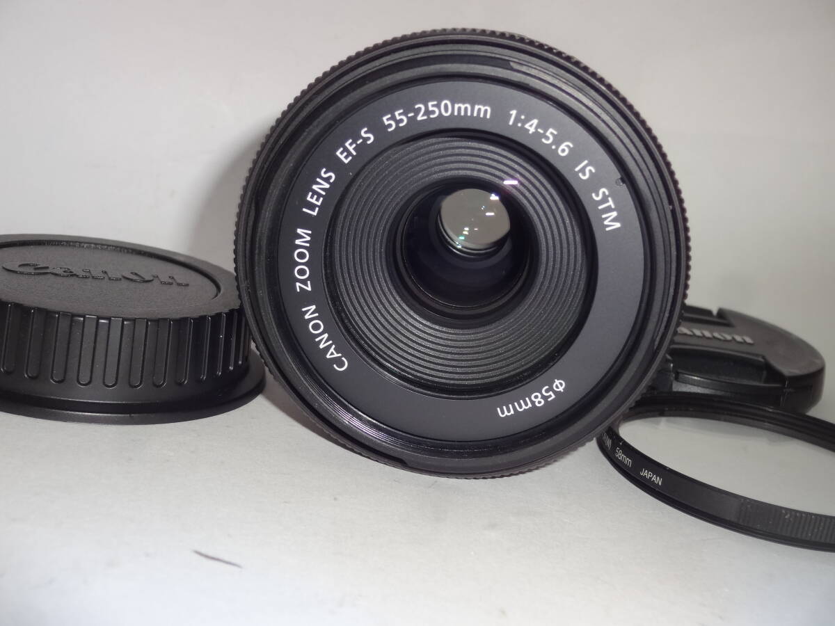 Yahoo!オークション - Canon EF-S55-250mm F4-5.6 IS STM 望遠ズームレ...