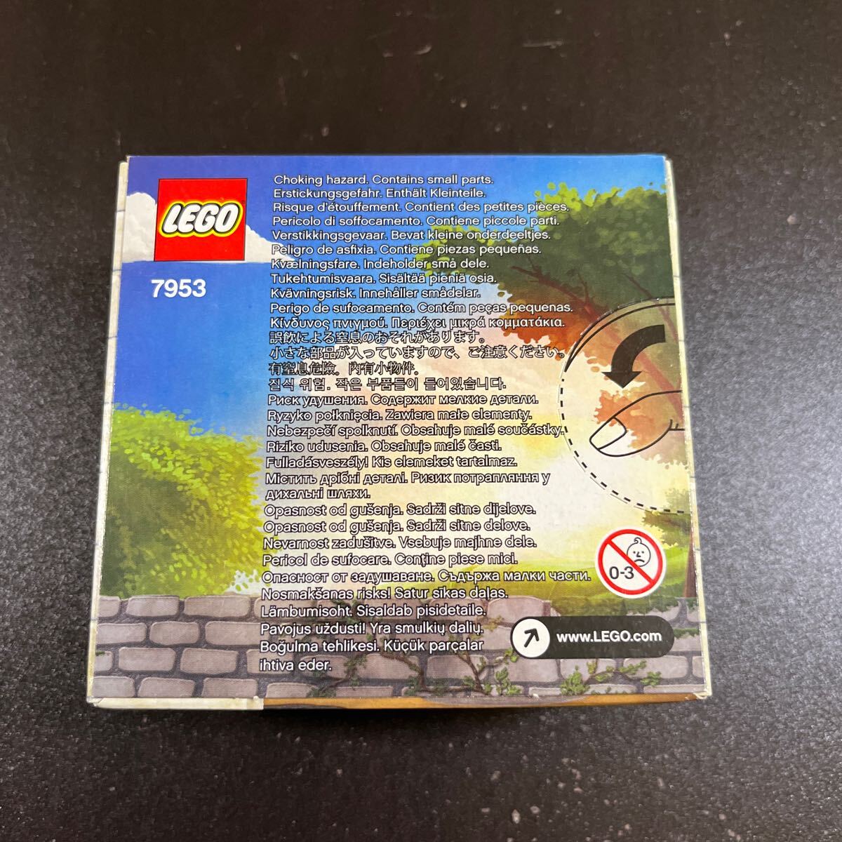 Yahoo!オークション - LEGO Kingdoms 7953