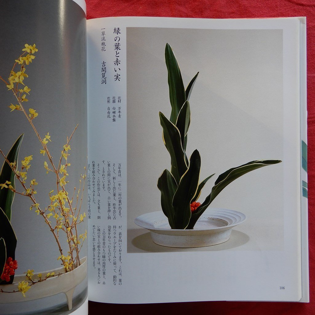 Yahoo!オークション - z37【伝統花材生け花作品集 シリーズ日本の花 第...